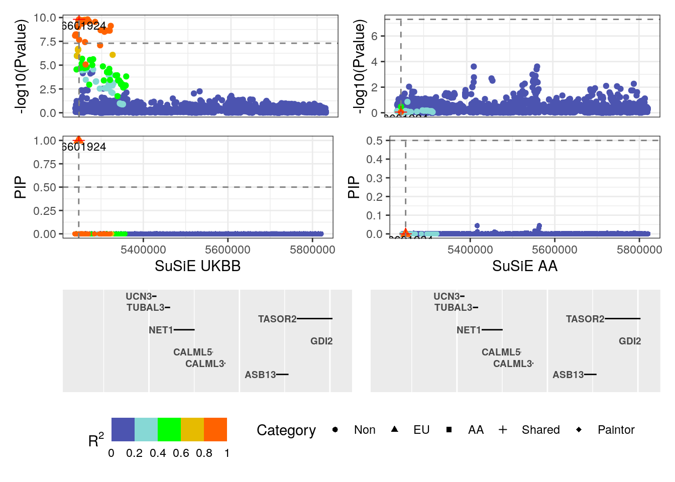 Ancestry-specific causal variant example